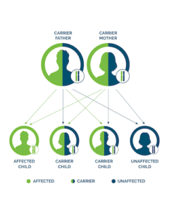 Carrier Screening - NxGen MDx